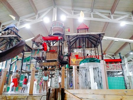 5 Reasons To Buy A Paw Pass At Great Wolf Lodge | Hustle Mom Repeat